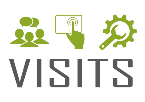 Orientation for SMEs in the digital transformation: The VISITS approach ...